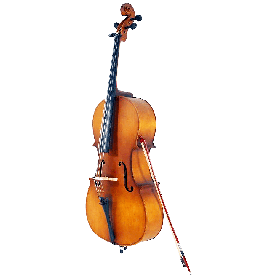 Cello - The Cadu Violin