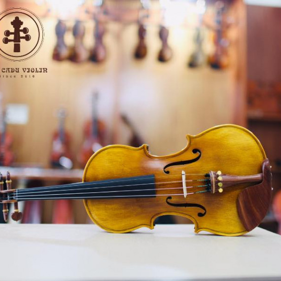Violin Intermediate - The Cadu Violin